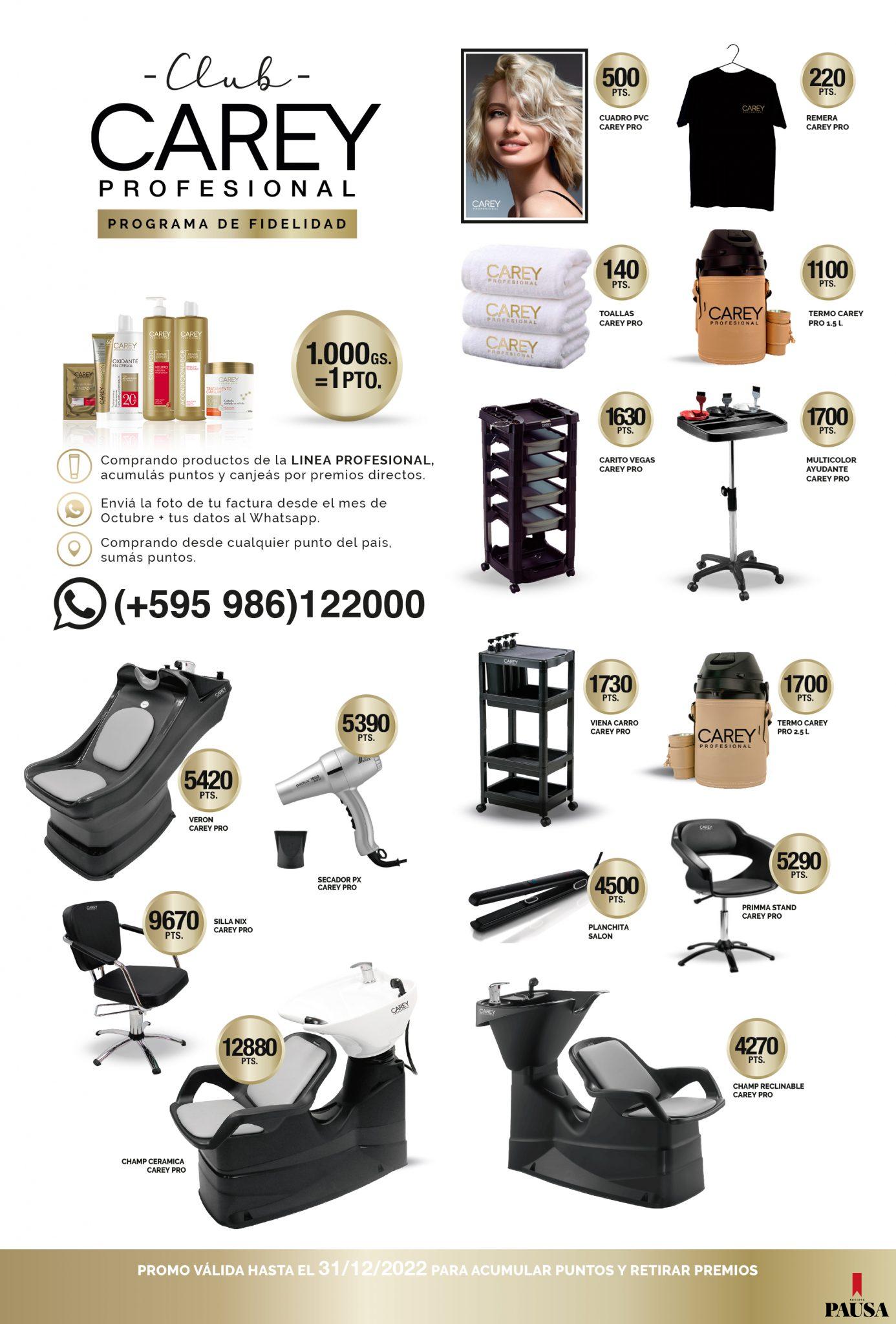 Rebranding de Carey Profesional | Pausa